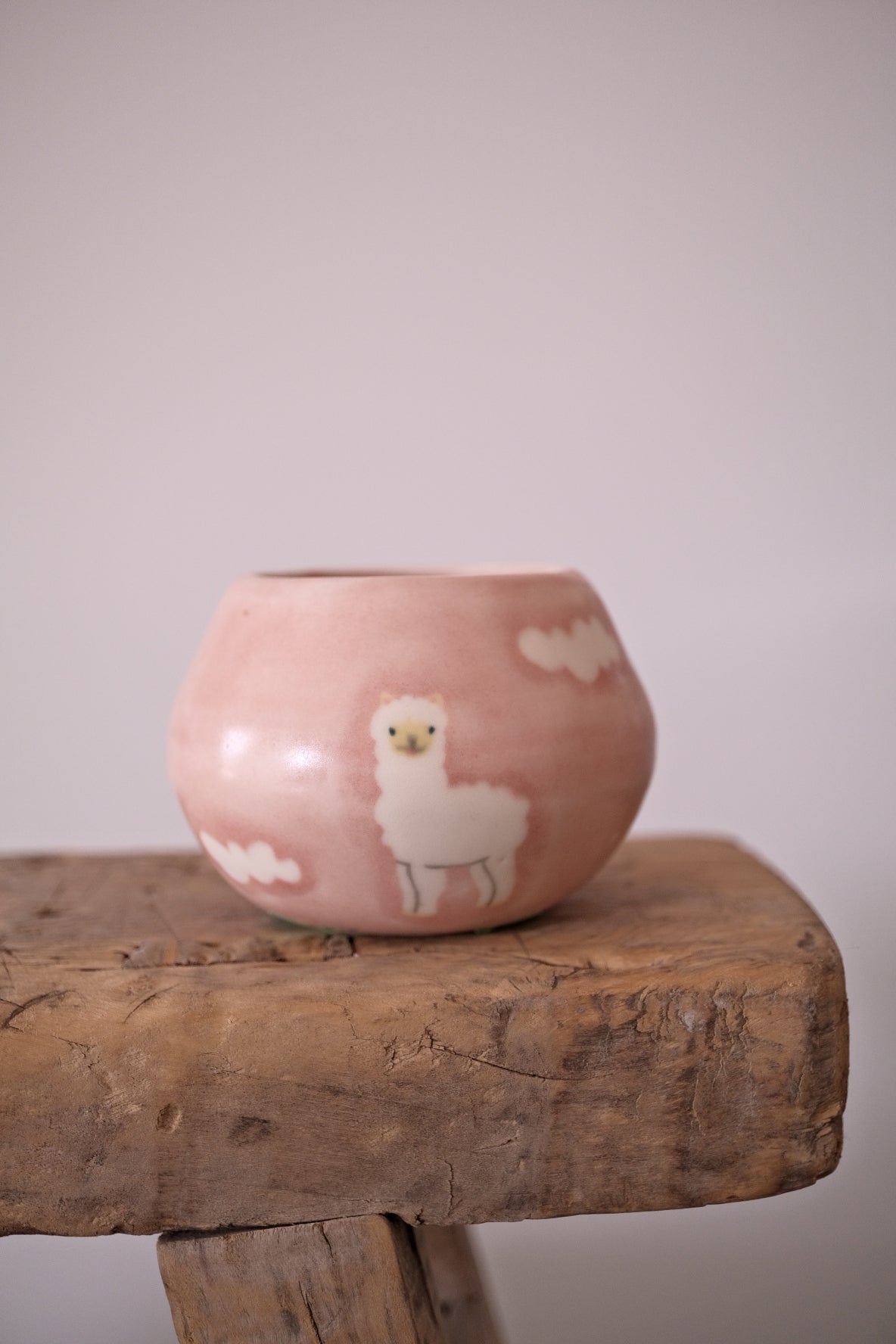 New Arrival – Yochi Cups